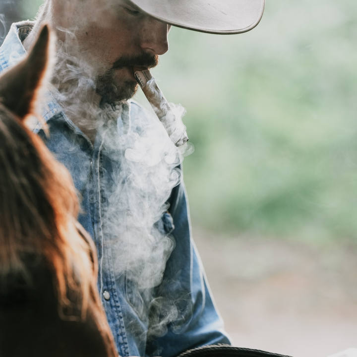 Conestoga – Oak & Iron Cigars